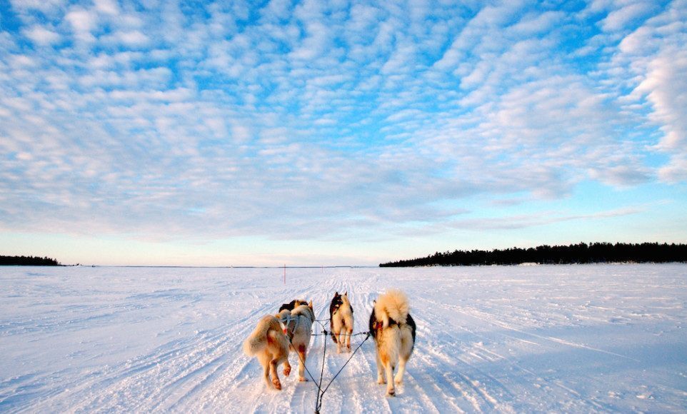 Incontro con i Sami, il popolo della Lapponia finlandese