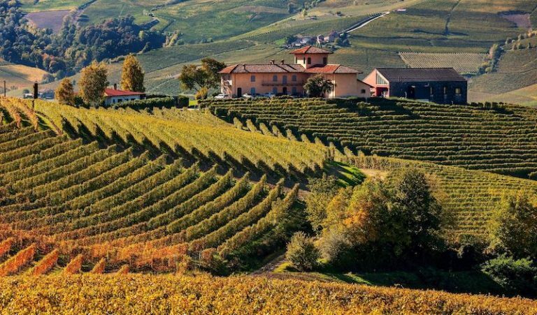 Foliage in Piemonte, 5 consigli in bus e in treno per godersi lo spettacolo
