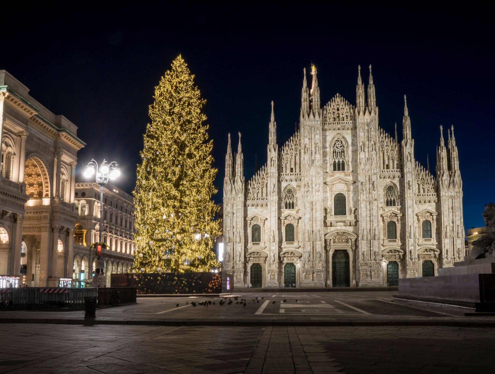 Natale a Milano, le tradizioni della città lombarda, gli alberi di ...