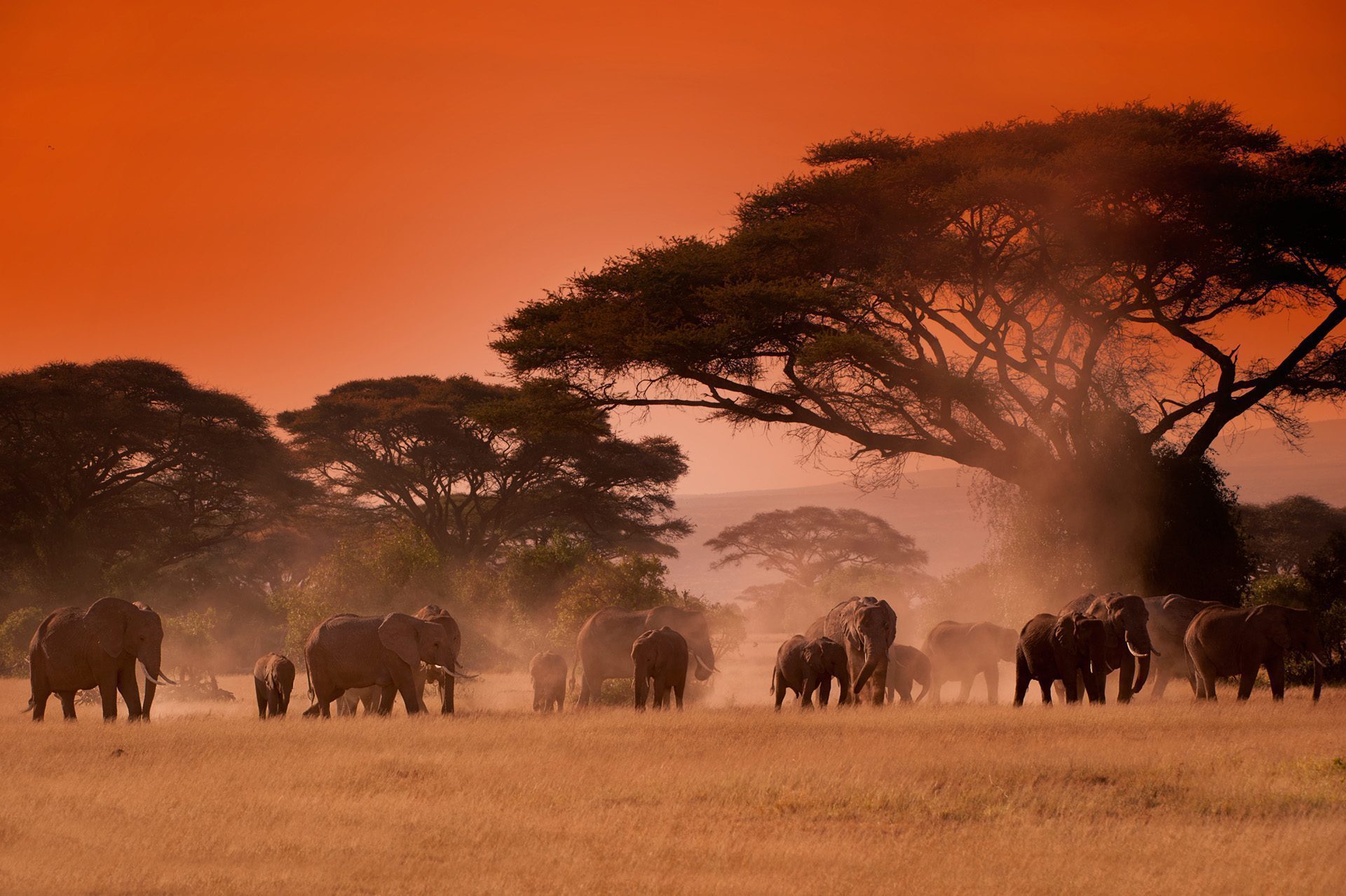 Un sogno chiamato Kenya, in Africa tra safari e relax, leggi qui