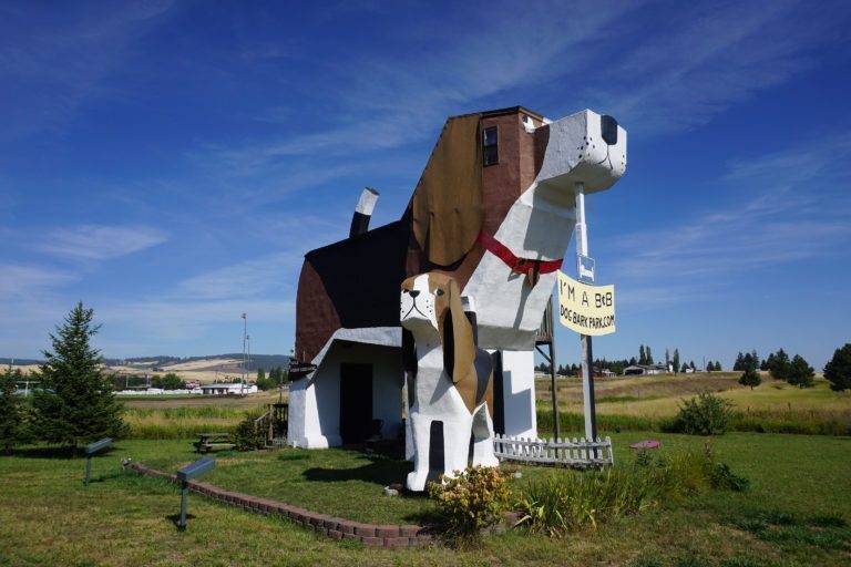 Dog Bark Park Inn: una struttura a forma di beagle, recensione