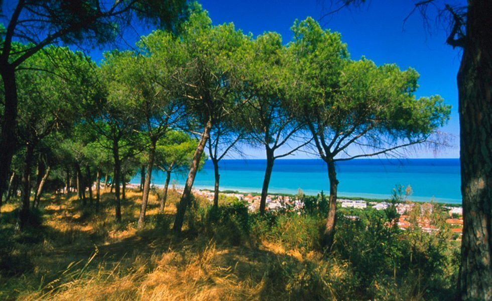 Montesilvano e Città Sant'Angelo in Abruzzo: da visitare in ogni stagione