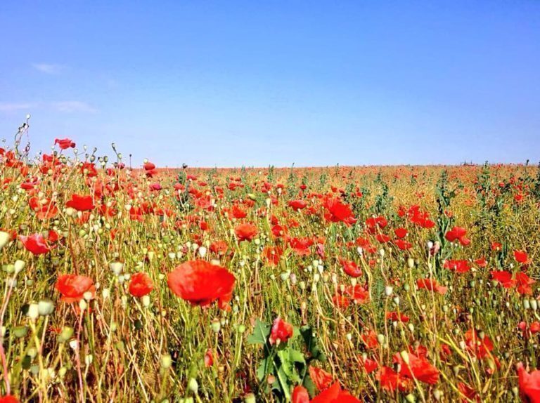 Mini guida della Moldova, un viaggio in Moldavia in 5 giorni