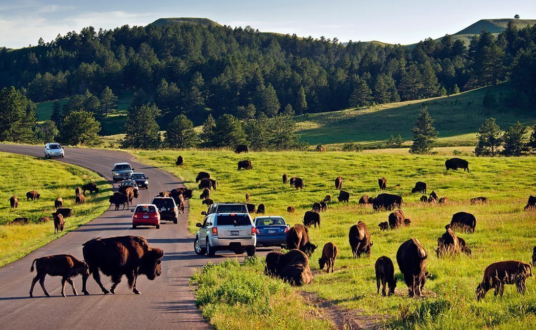 South Dakota: viaggio alla scoperta di natura e vecchio west